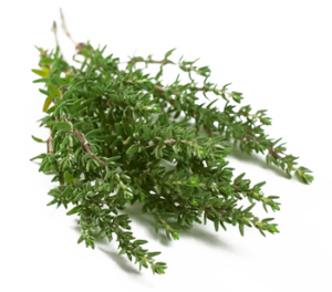 Thyme - CRYSP Farms